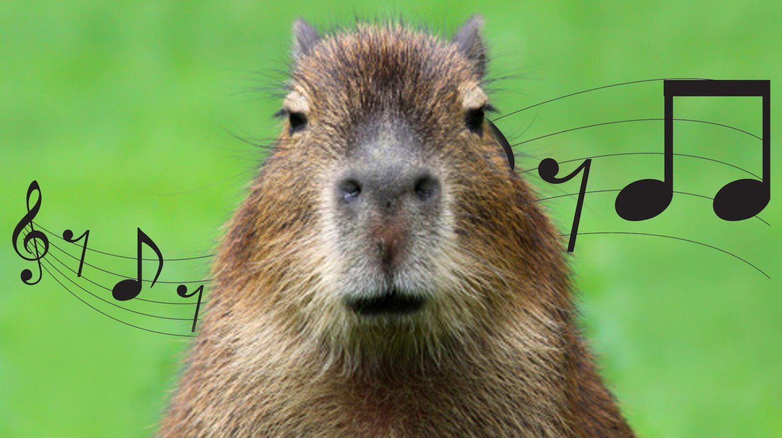 Capybara Predators: Understanding Interactions, Conservation, and ...